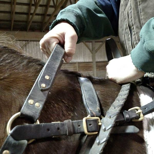 P.S.&B. Safety Strap 2-Piece Yoke - Ploughman's Saddlery & Belts