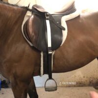 Extendable Stirrup Leathers (58" x 1-1/4") (Made in England ...